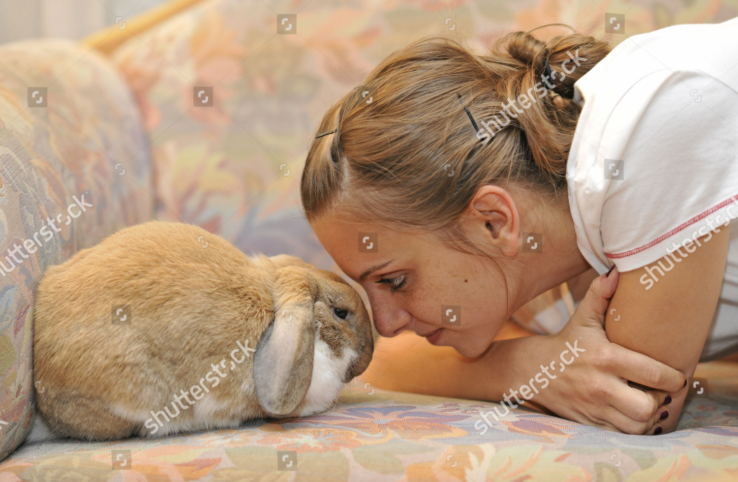 Model Released Girl Cuddling European Dwarf Editorial Stock Photo ...