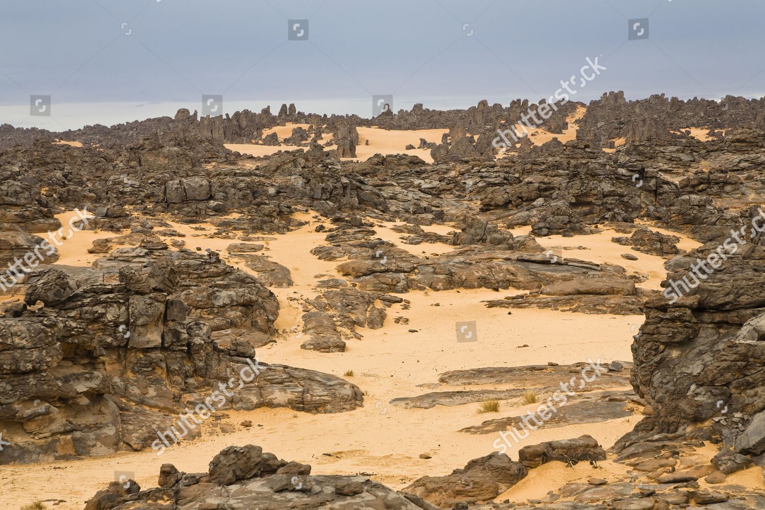 Stone Desert Tassili Maridet Libyan Desert Editorial Stock Photo ...