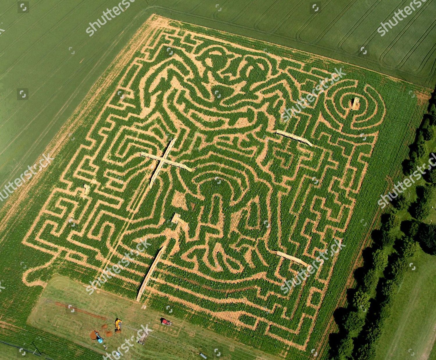 Britains Maize Maze Craze Giant Dog Editorial Stock Photo - Stock Image ...