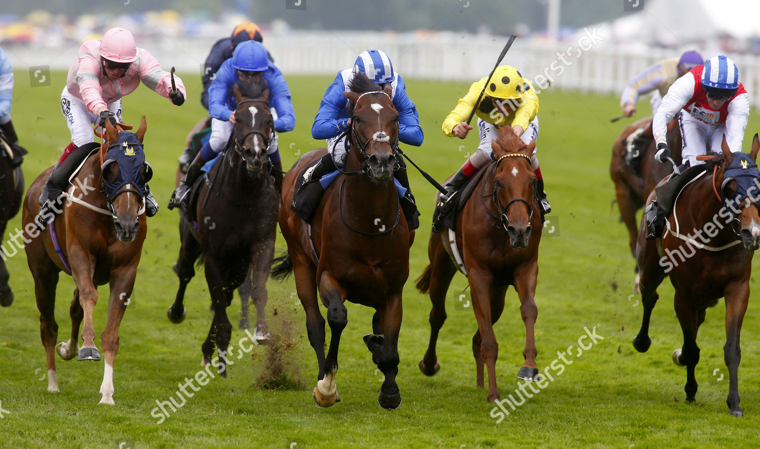 Mahsoob Paul Hanagan Blue White Winning Editorial Stock Photo - Stock ...
