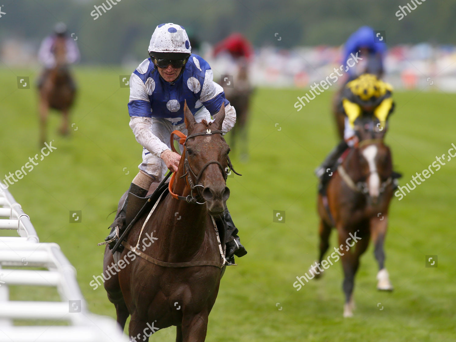 Oriental Fox Joe Fanning Winning Queen Editorial Stock Photo - Stock ...