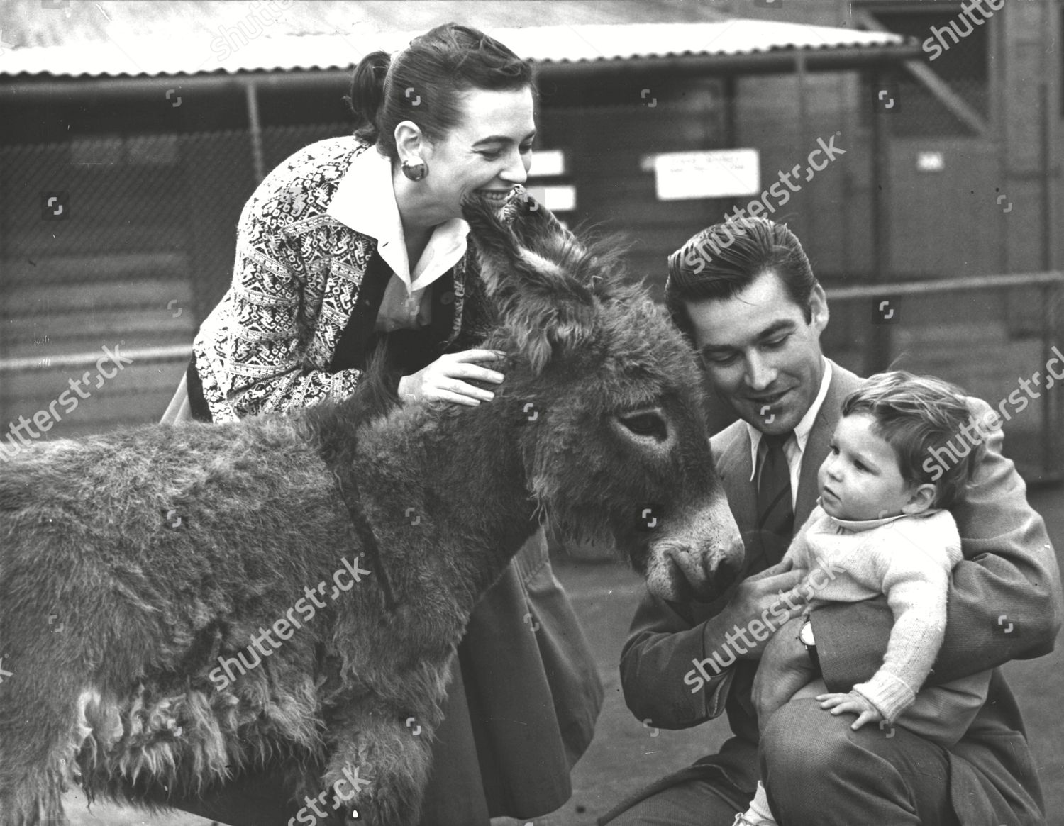 Michael Craig Actor His Wife Son Editorial Stock Photo - Stock Image ...