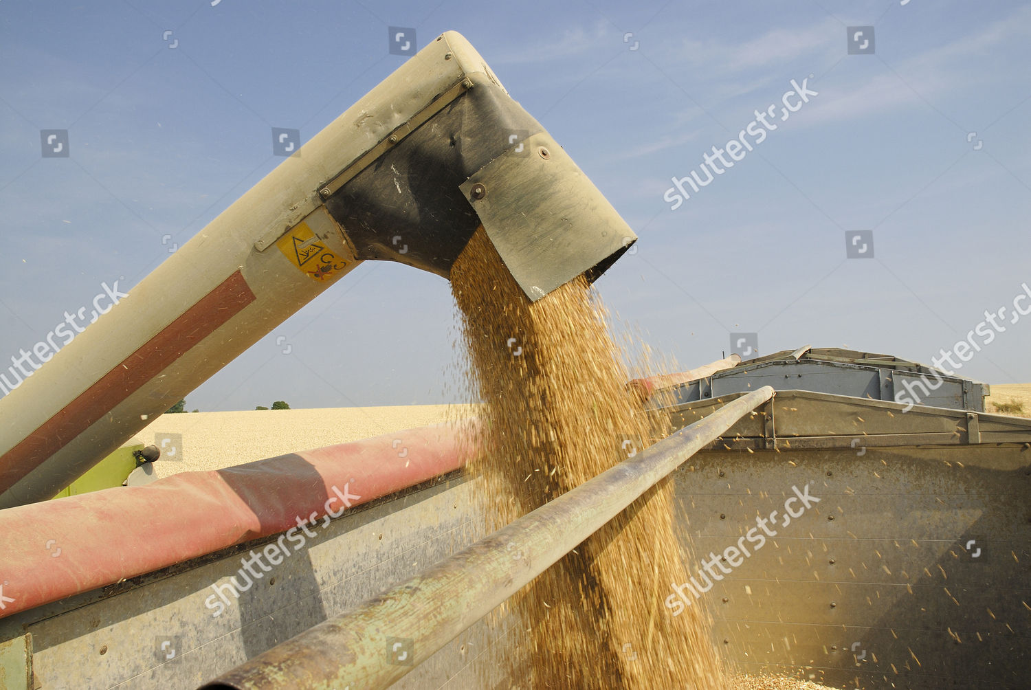 Combine Harvester Unloading Grains Into Tumbril Editorial Stock Photo ...