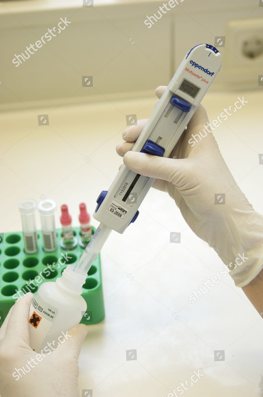 Hand Sterile Glove Pipetting Pipettor Laboratory Editorial Stock Photo ...