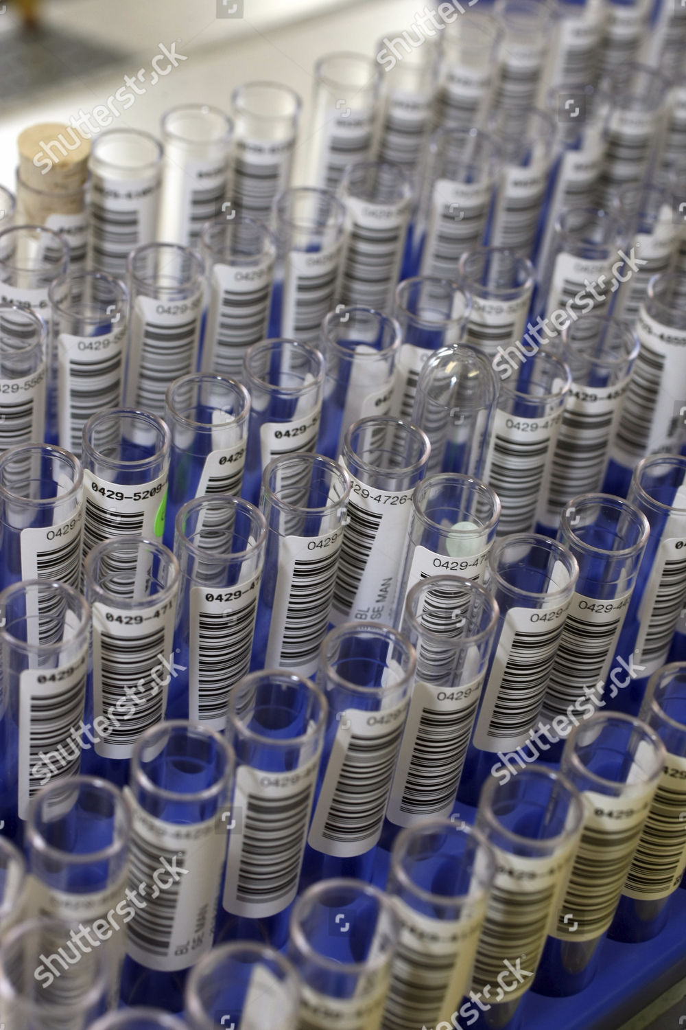 Glass Test Tubes Specimens Medical Laboratory Editorial Stock Photo ...