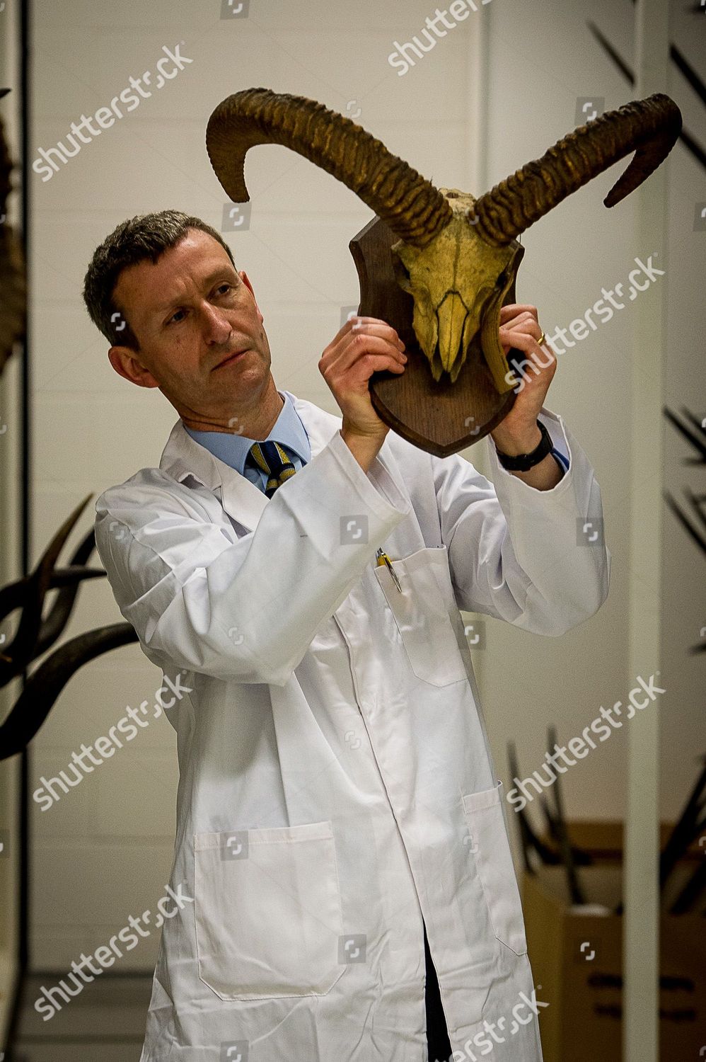 Dr Andrew Kitchener Principal Curator Vertibrates Editorial Stock Photo ...