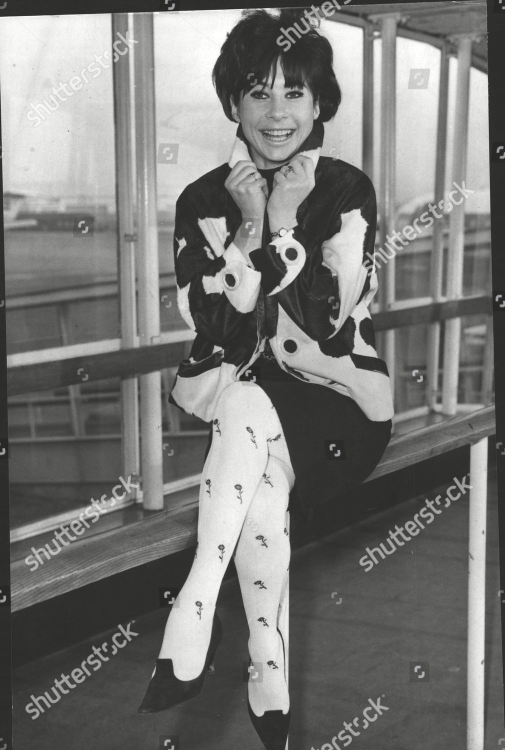 Actress Carole Ann Ford Box 0591 Editorial Stock Photo - Stock Image ...