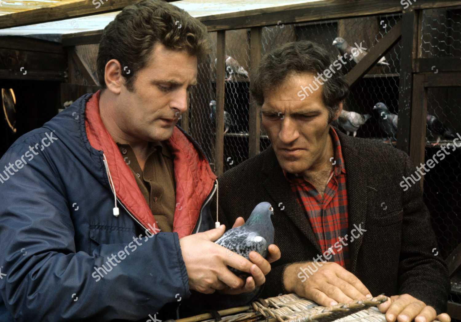 Terence Rigby Neil Mccarthy Editorial Stock Photo - Stock Image ...