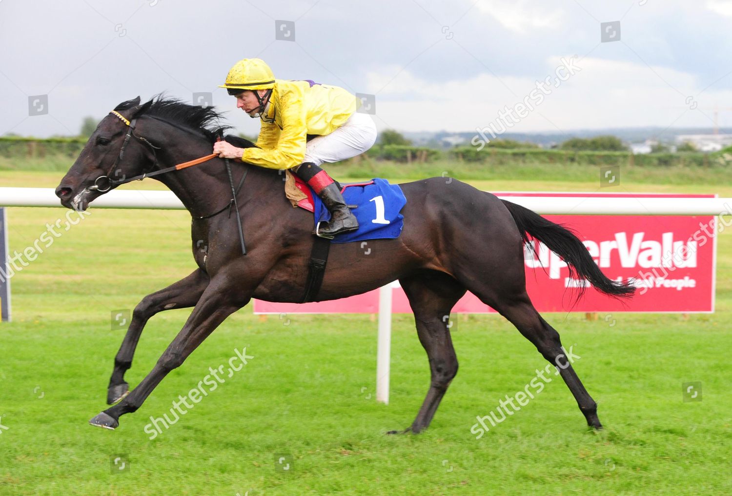 Roscommon Affinisea Declan Mcdonagh Win Races Editorial Stock Photo ...