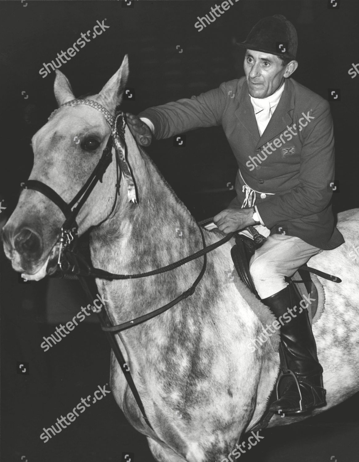 Ted Williams Showjumper Horse Year Show Editorial Stock Photo - Stock ...