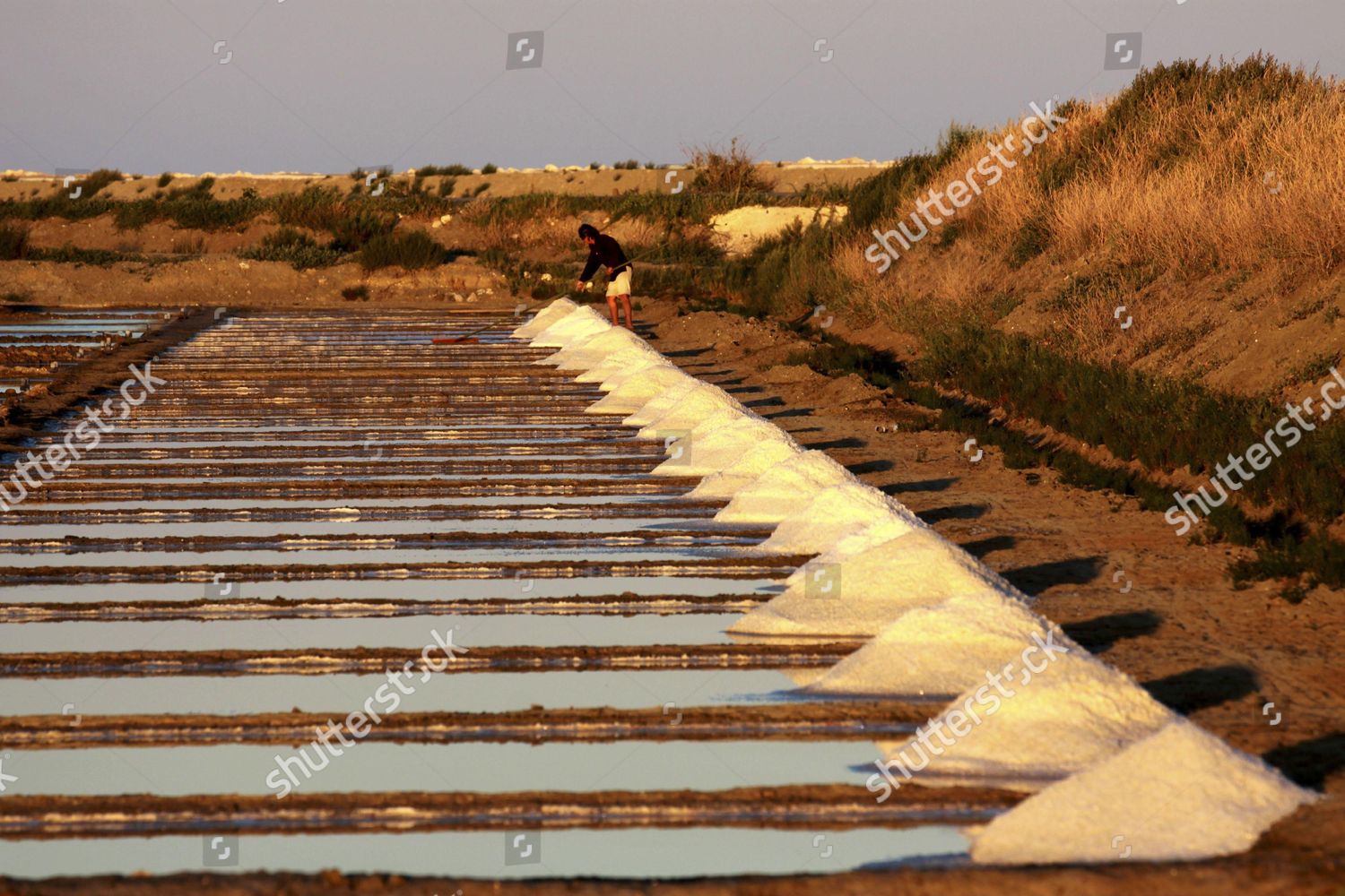 Guy Leprince Tending Salt Pan Editorial Stock Photo - Stock Image ...
