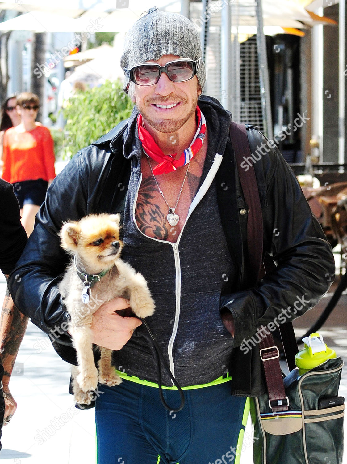Mickey Rourke Puppy Editorial Stock Photo - Stock Image | Shutterstock