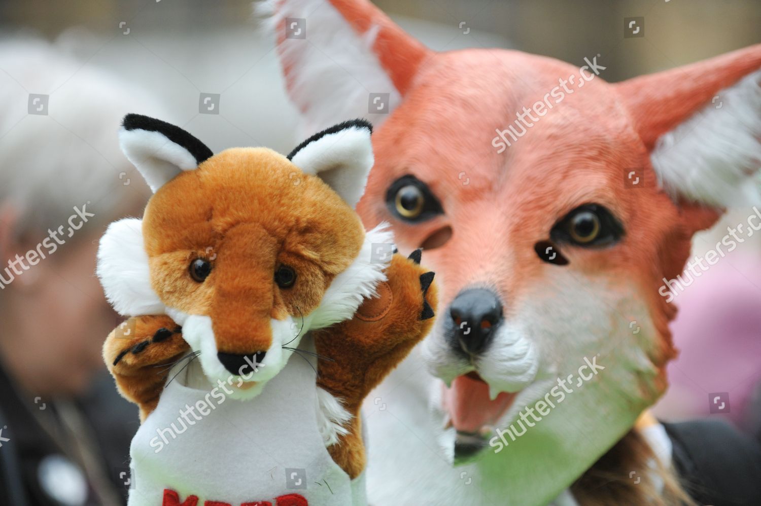 Fox Hunting Ban Demonstration Outside Parliament Editorial Stock Photo ...