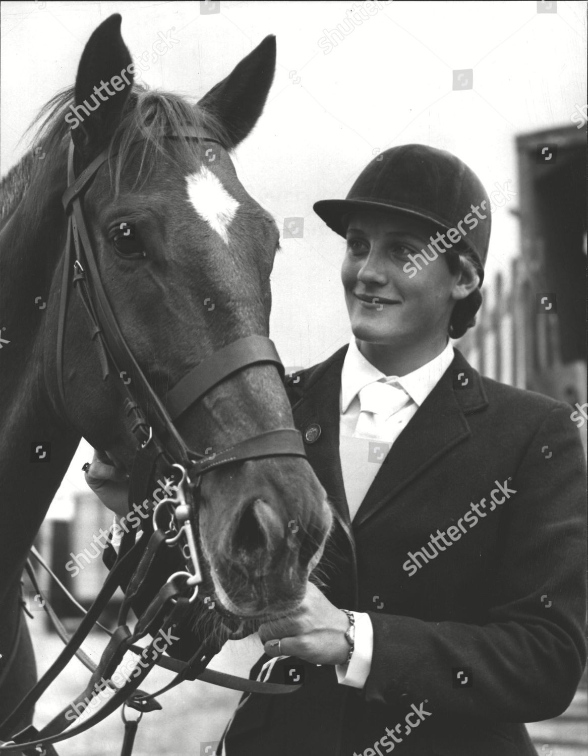 Gonda Butters South African Show Jumper Editorial Stock Photo - Stock ...