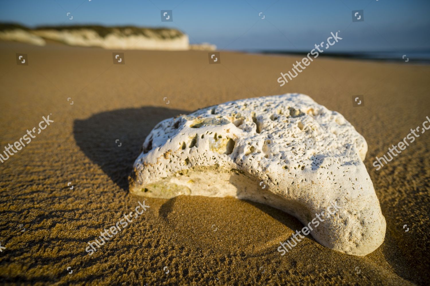 Chalk Rock On Sandy Beach Dawn Editorial Stock Photo - Stock Image ...
