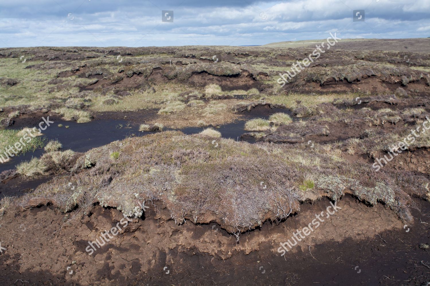 Moorland Habitat Peat Hags Fleet Moss Editorial Stock Photo - Stock ...