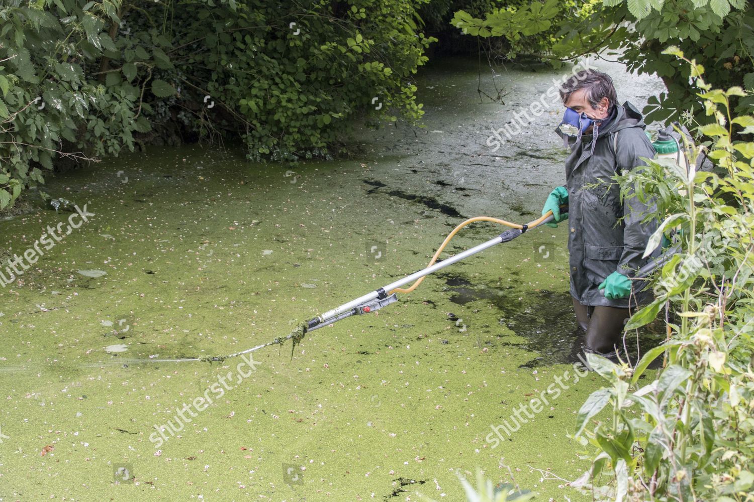 Spraying Chemical Weed Killer Clear Duckweed Editorial Stock Photo ...