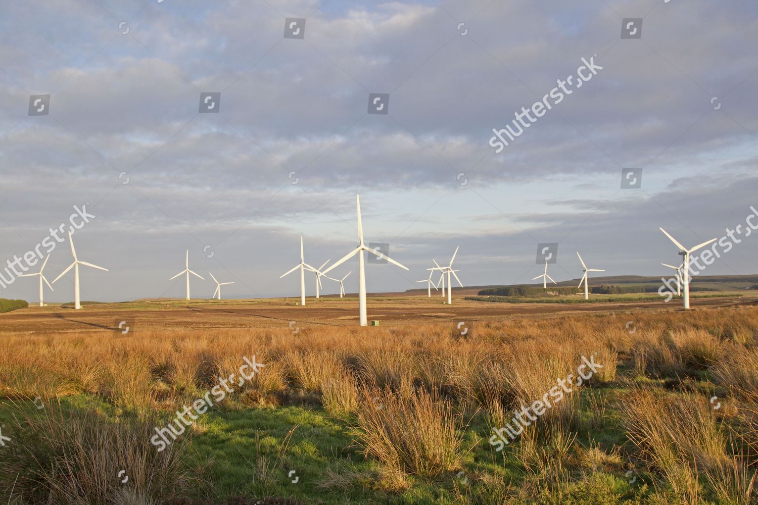 Wind Turbines On Moorland Windfarm Berwickshire Editorial Stock Photo ...