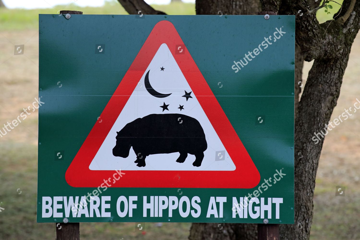 Beware Hippos Night Warning Sign Isimangaliso Editorial Stock Photo ...