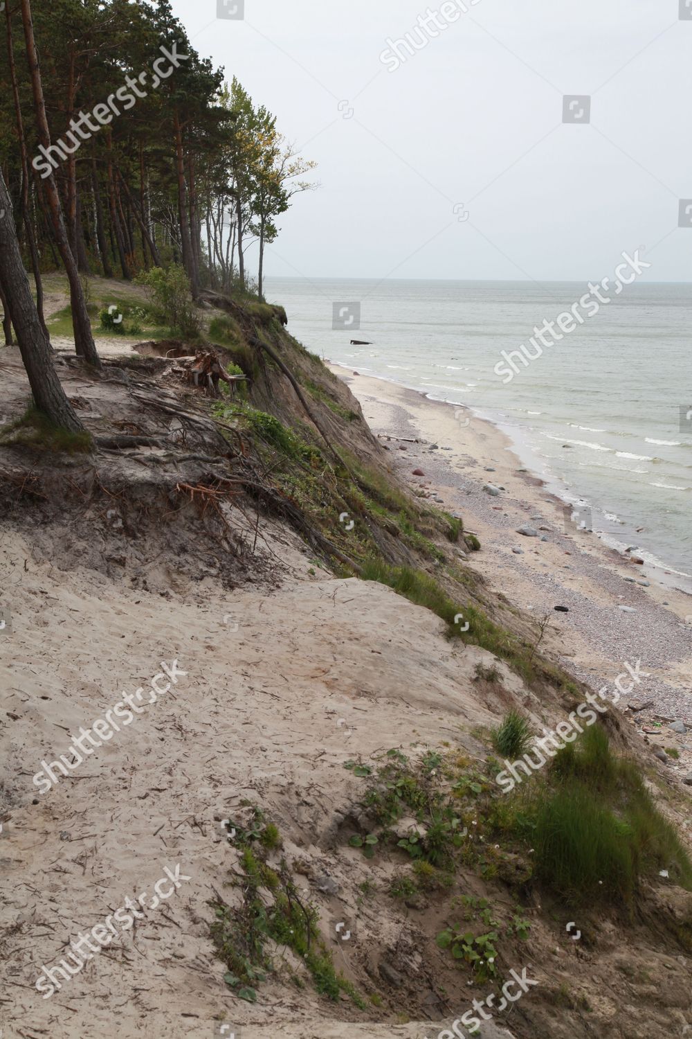 Curonian Spit Lithuania Unesco World Heritage Editorial Stock Photo ...