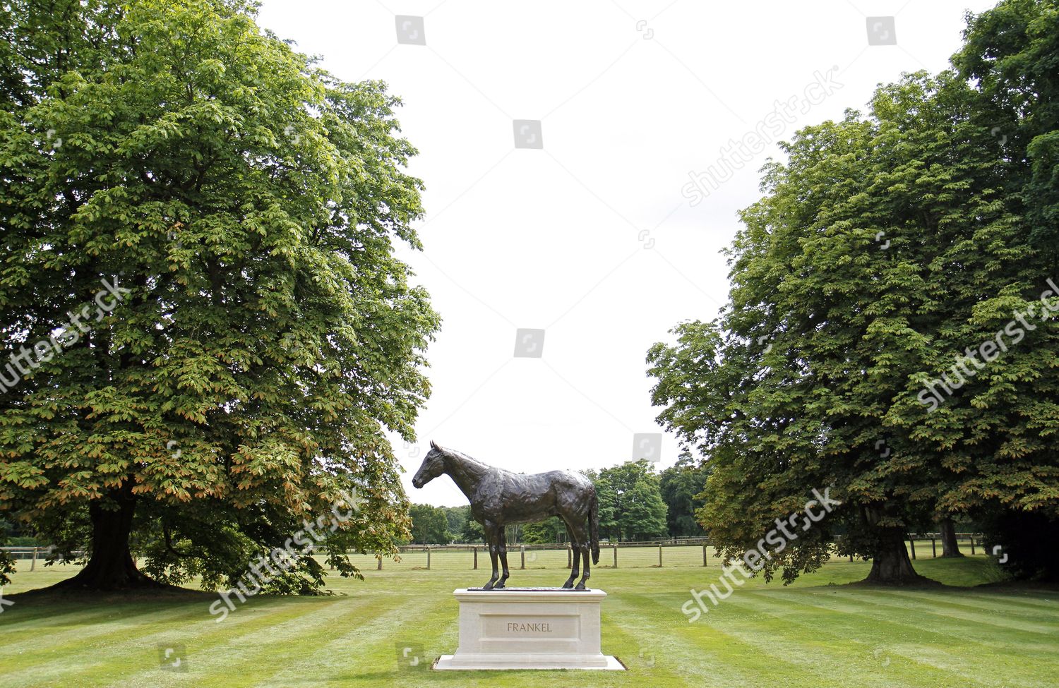 Bronze Frankel Unveiled Banstead Manor Stud Editorial Stock Photo ...