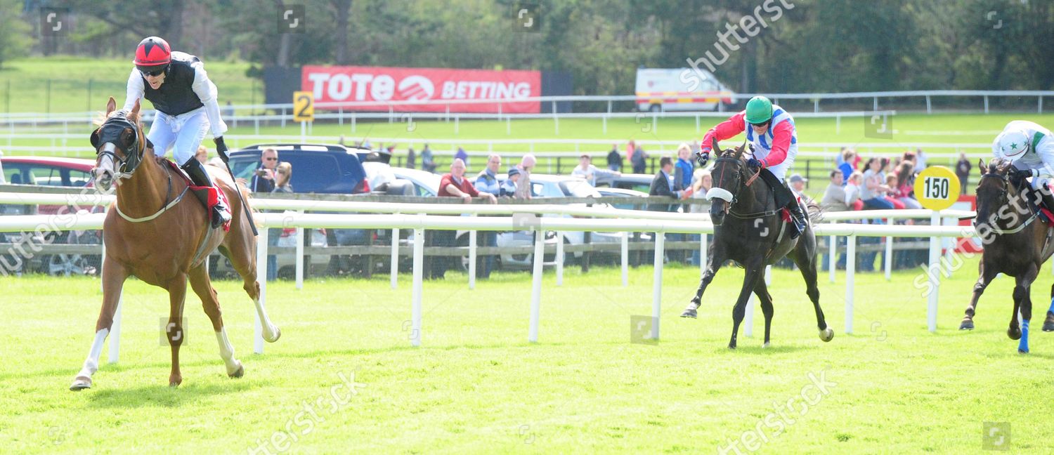 Galway Time Inspire Finian Maguire Win Editorial Stock Photo - Stock ...