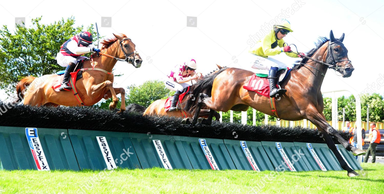 Galway Lilly Lioness Mark Enright Jump Editorial Stock Photo - Stock ...