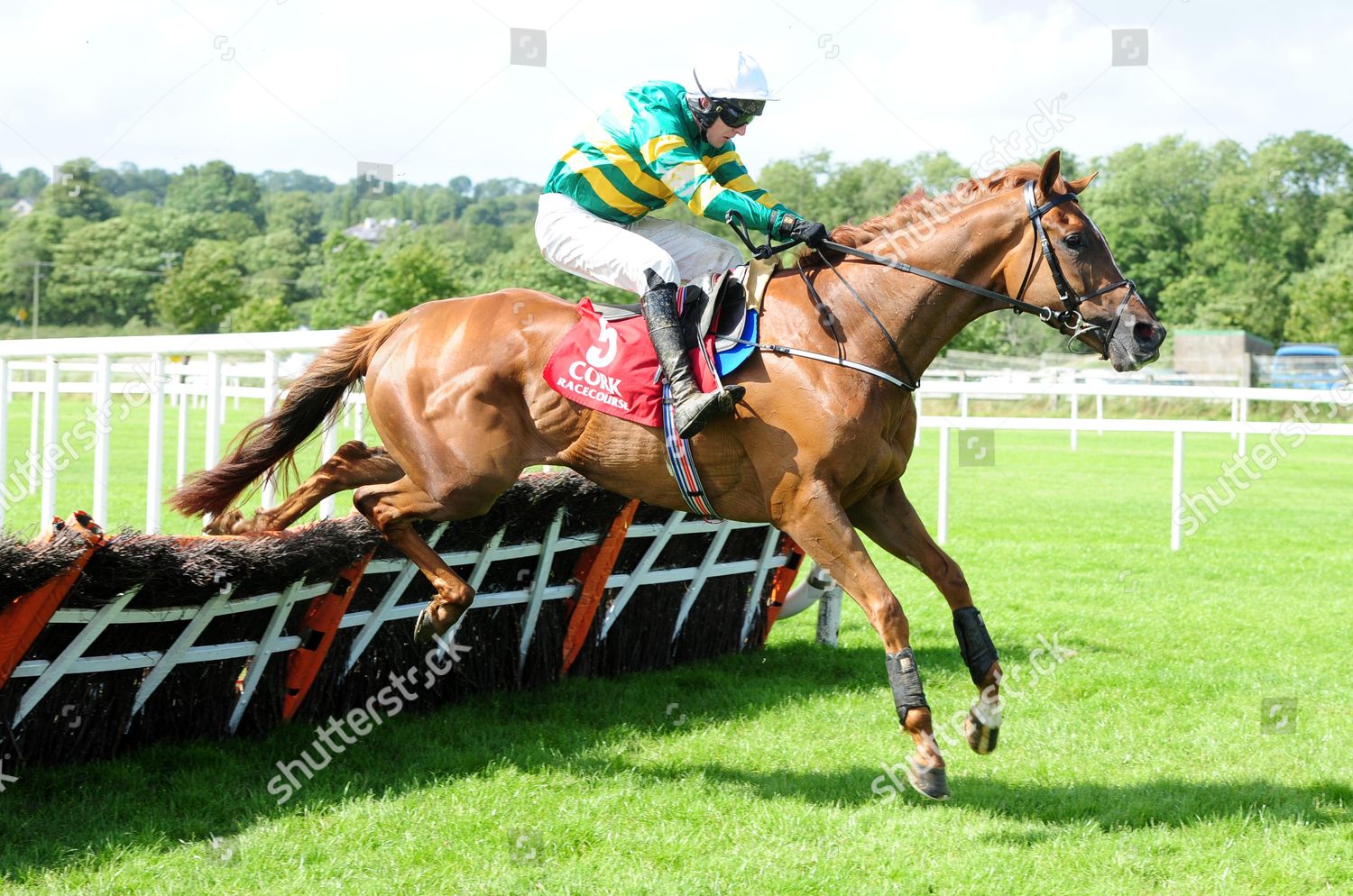 Cork Mentor Mark Walsh Win Mallow Editorial Stock Photo - Stock Image ...