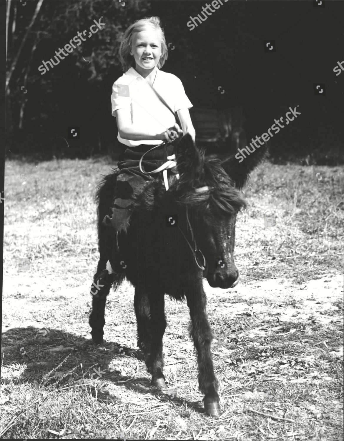 Hon Elizabeth Allsopp 11yearold Daughter Lord Editorial Stock Photo ...