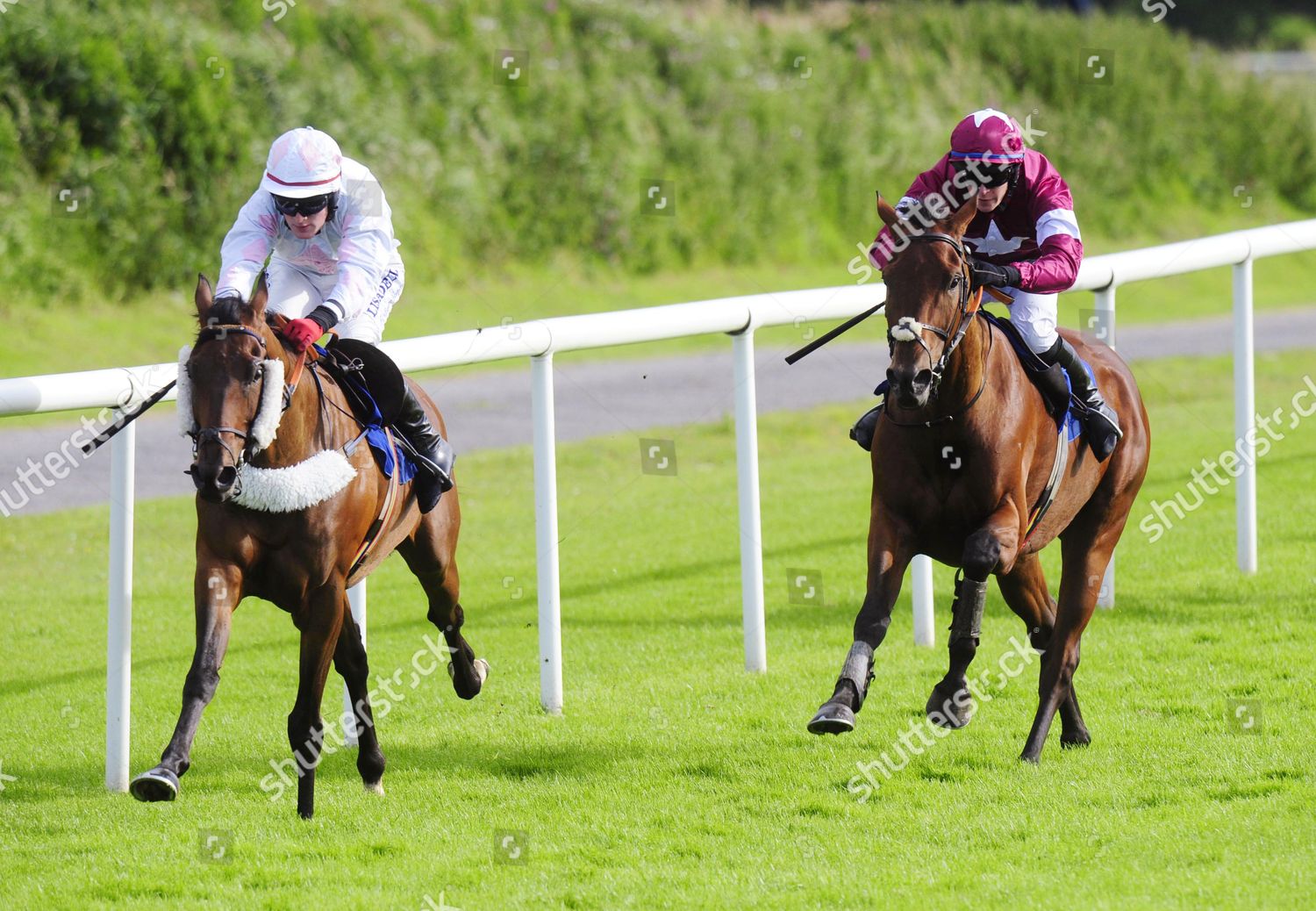 Roscommon Beau Et Sublime David Mullins Editorial Stock Photo - Stock ...