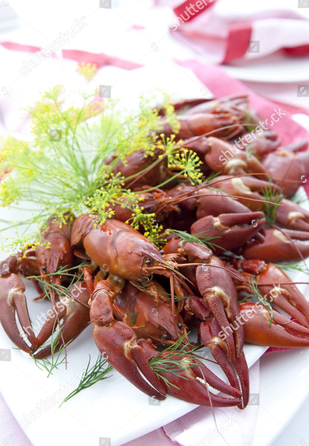 Crayfish Eating Editorial Stock Photo - Stock Image | Shutterstock