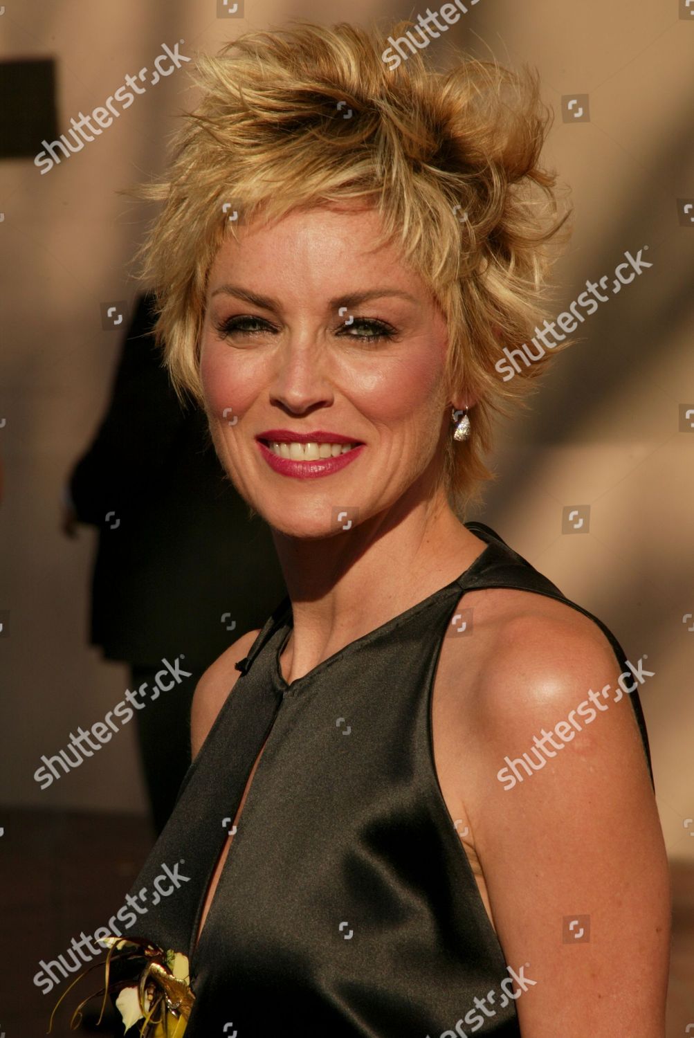 Sharon Stone Editorial Stock Photo - Stock Image | Shutterstock