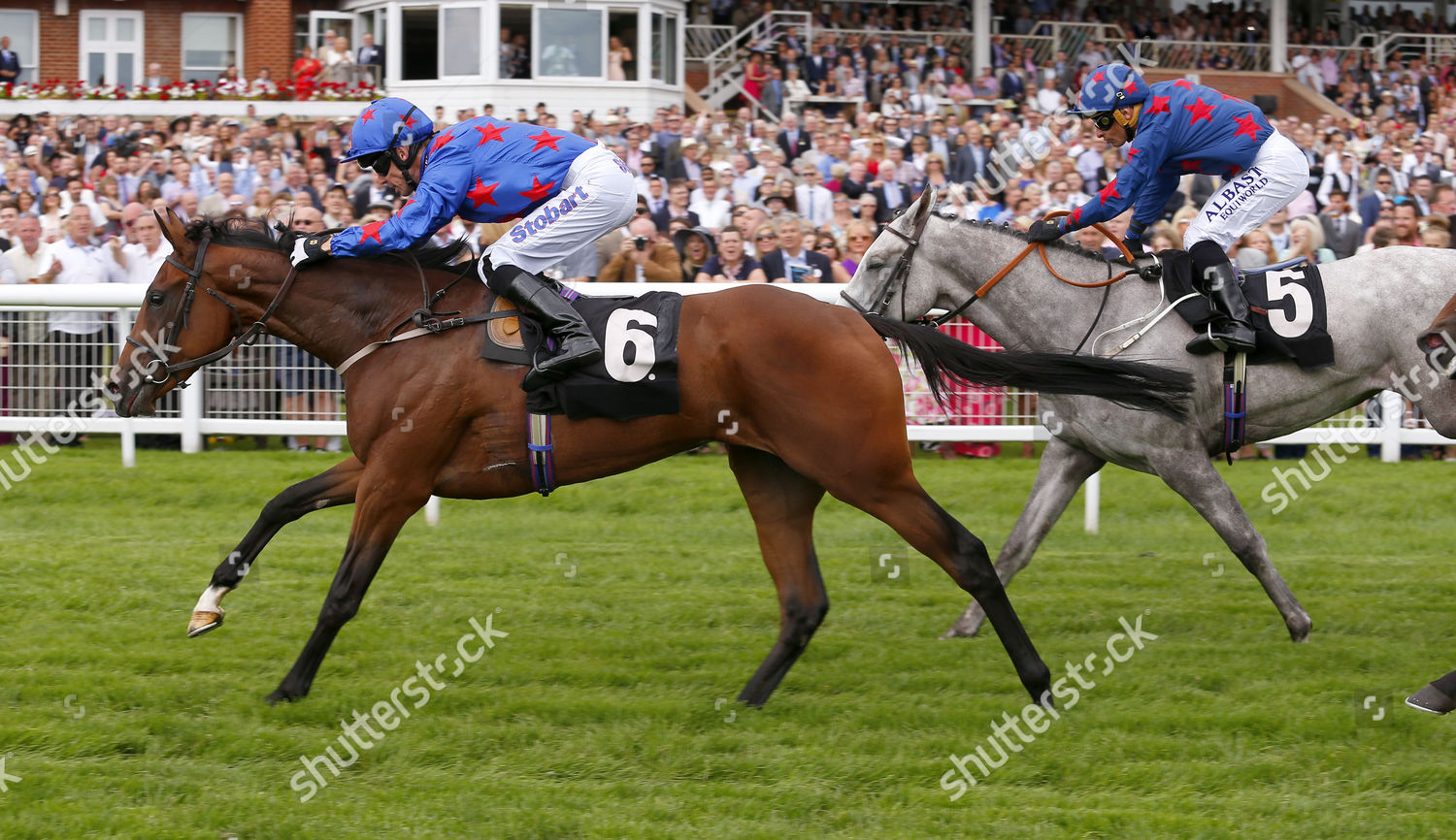 Epsom Icon Graham Lee Winning Denford Editorial Stock Photo - Stock ...