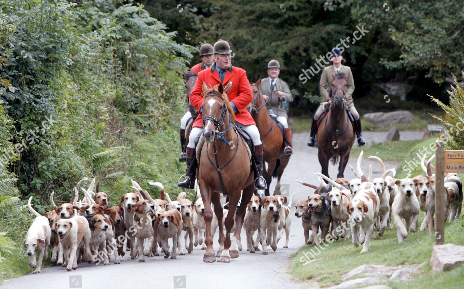 Dulverton Farmers Hunt Editorial Stock Photo - Stock Image | Shutterstock