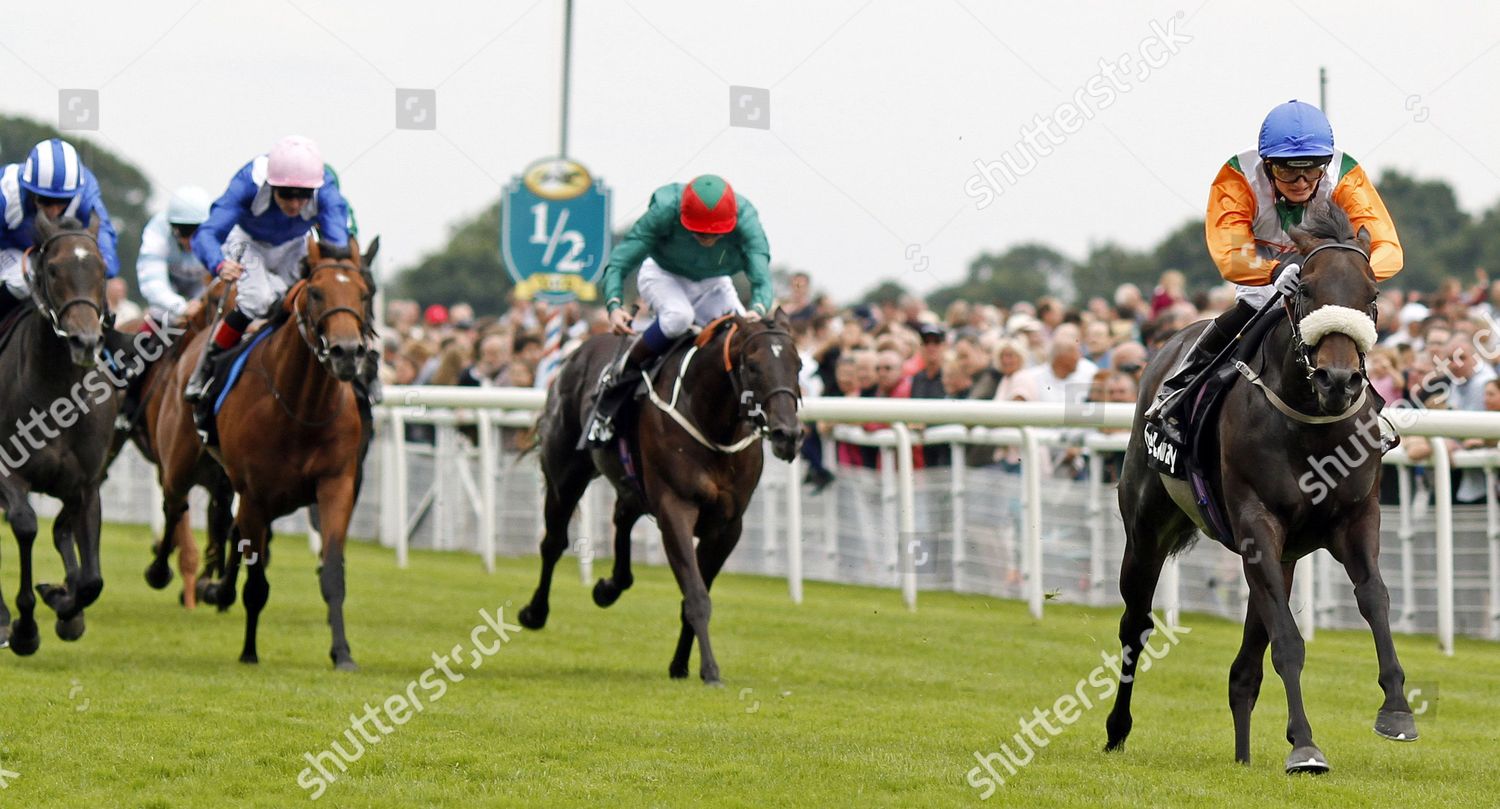 Mayfair Lady Jack Garritty Wins Betway Editorial Stock Photo - Stock ...