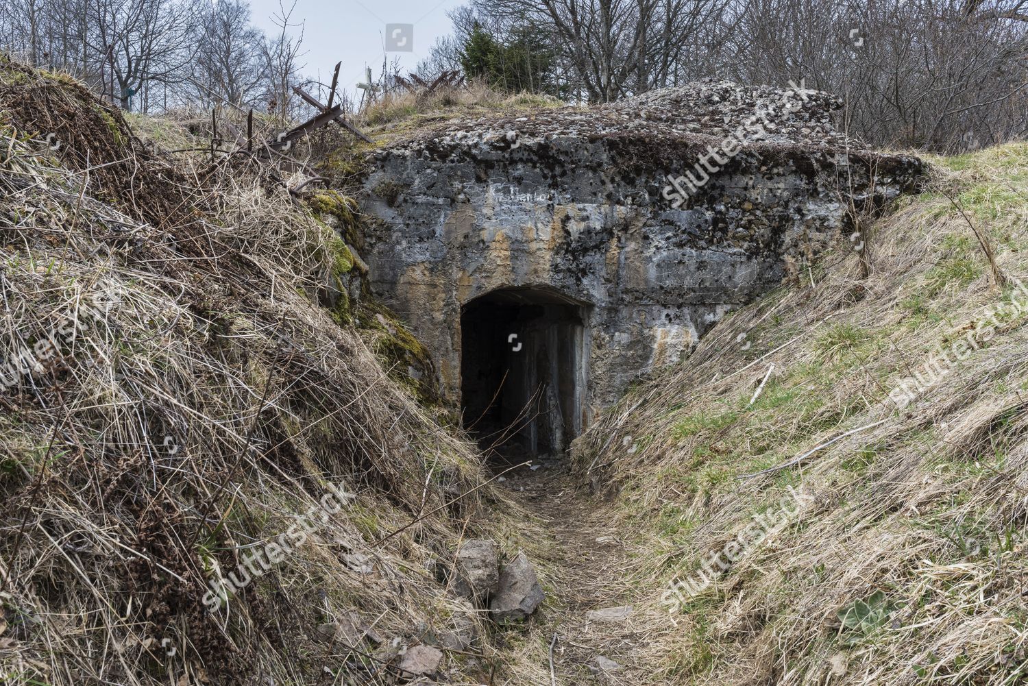 Trenches Bunker Hartmannswillerkopf National Monument World Editorial ...