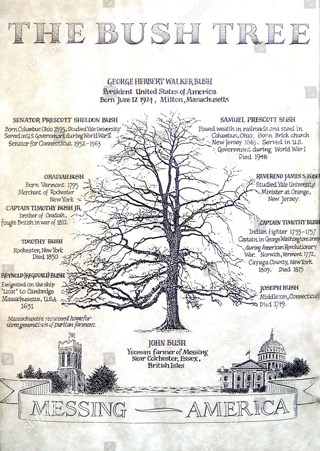 Genealogy Tree Bush Family Editorial Stock Photo - Stock Image ...