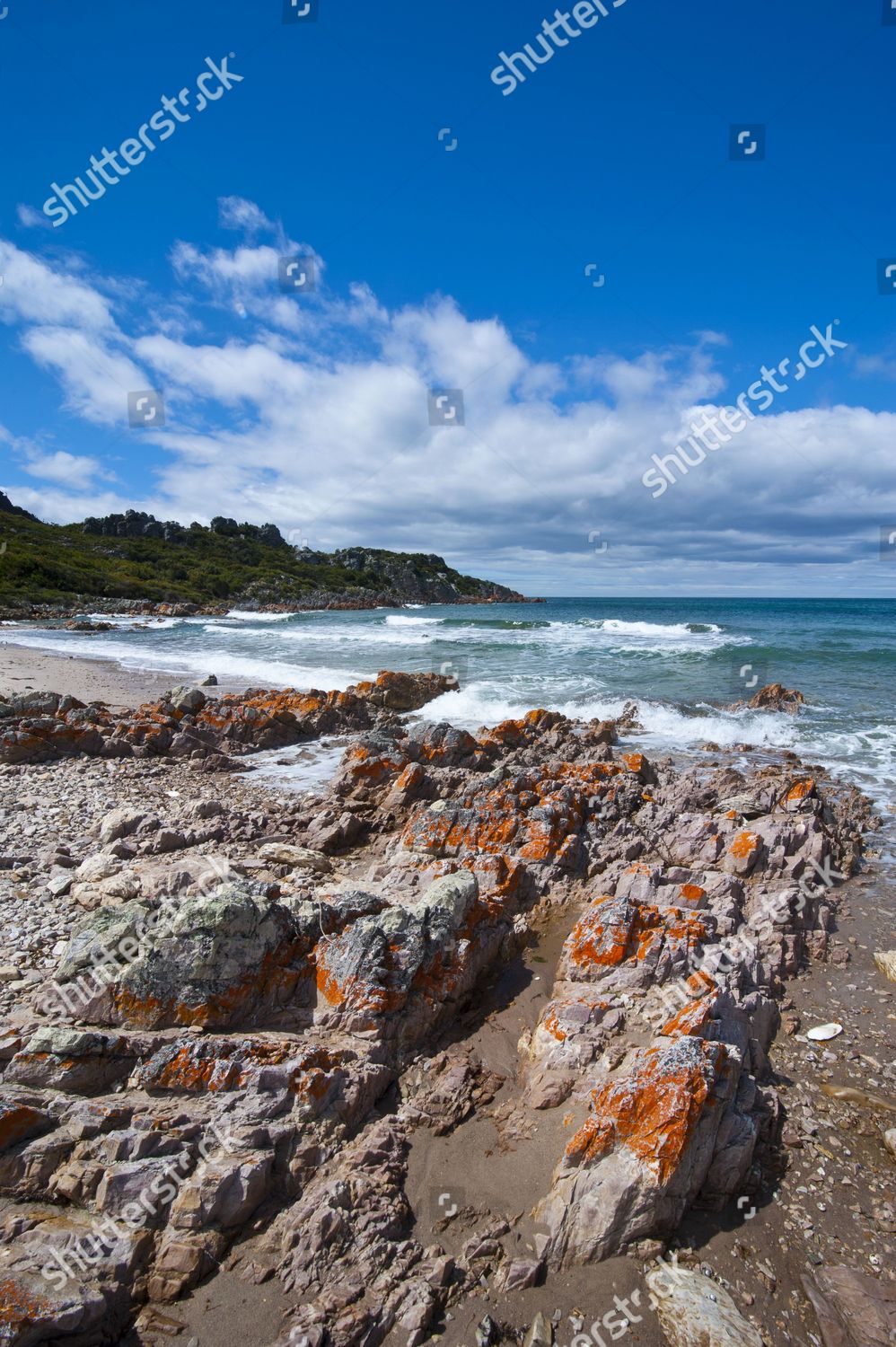 Coast Rocky Cape National Park Tasmania Editorial Stock Photo - Stock ...