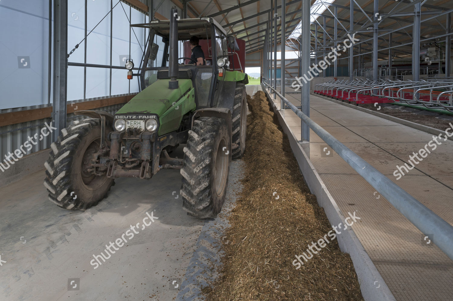 Tractor Filling Feed Alley Modern Cattle Editorial Stock Photo - Stock ...