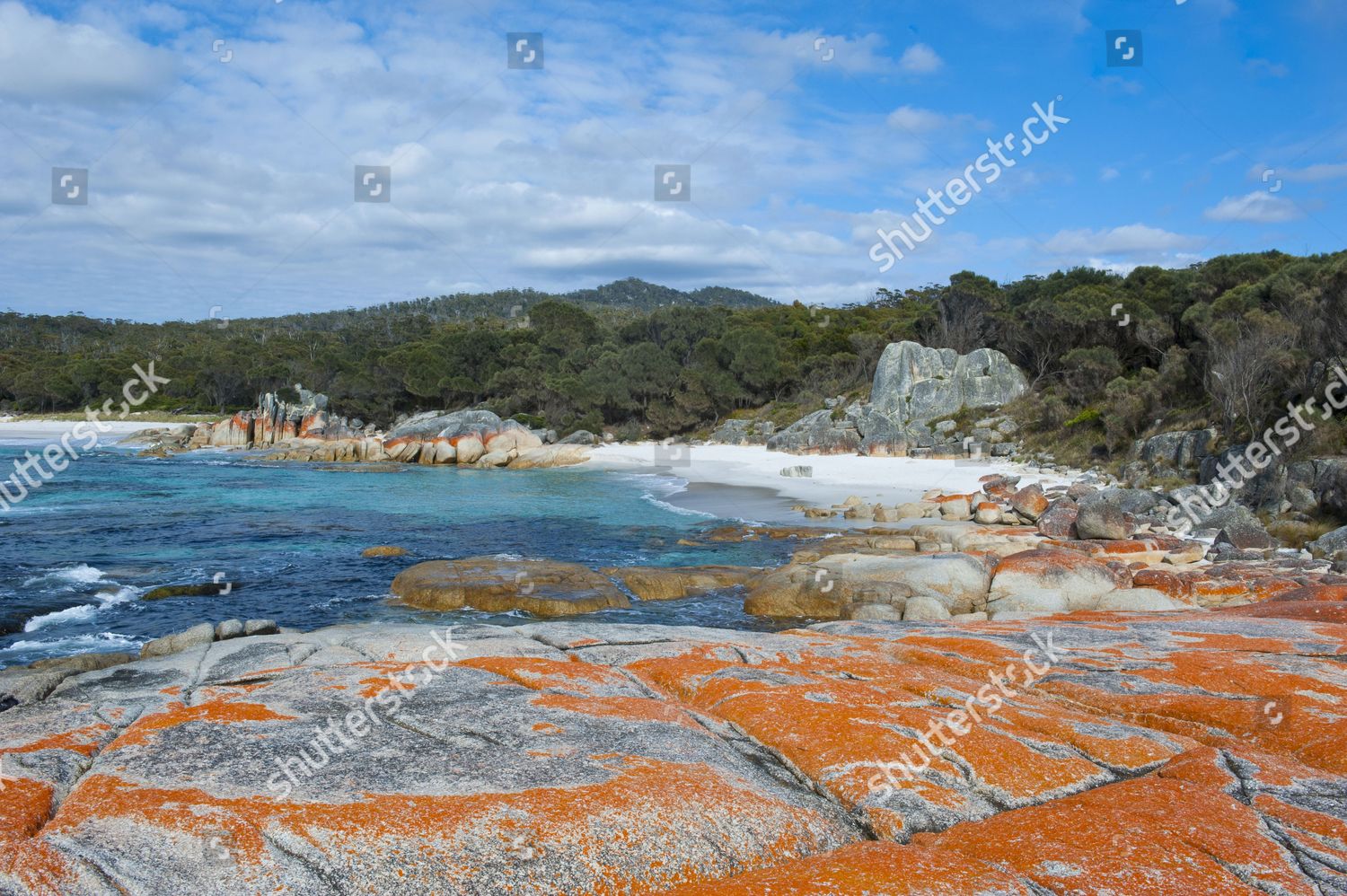 Beach Bay Fire Tasmania Australia Editorial Stock Photo - Stock Image ...