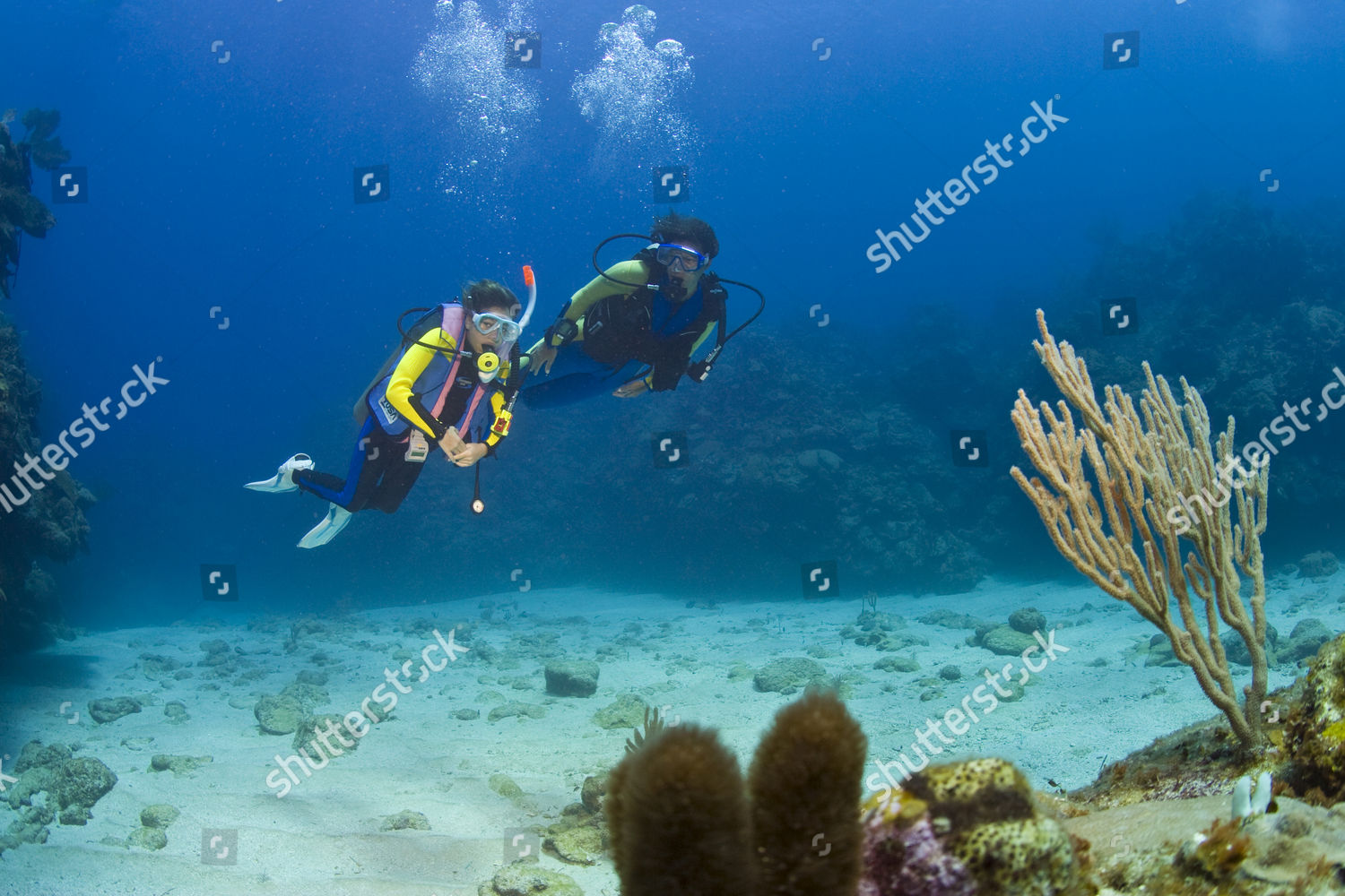 Model Released Mother Daughter Scuba Diving Editorial Stock Photo ...