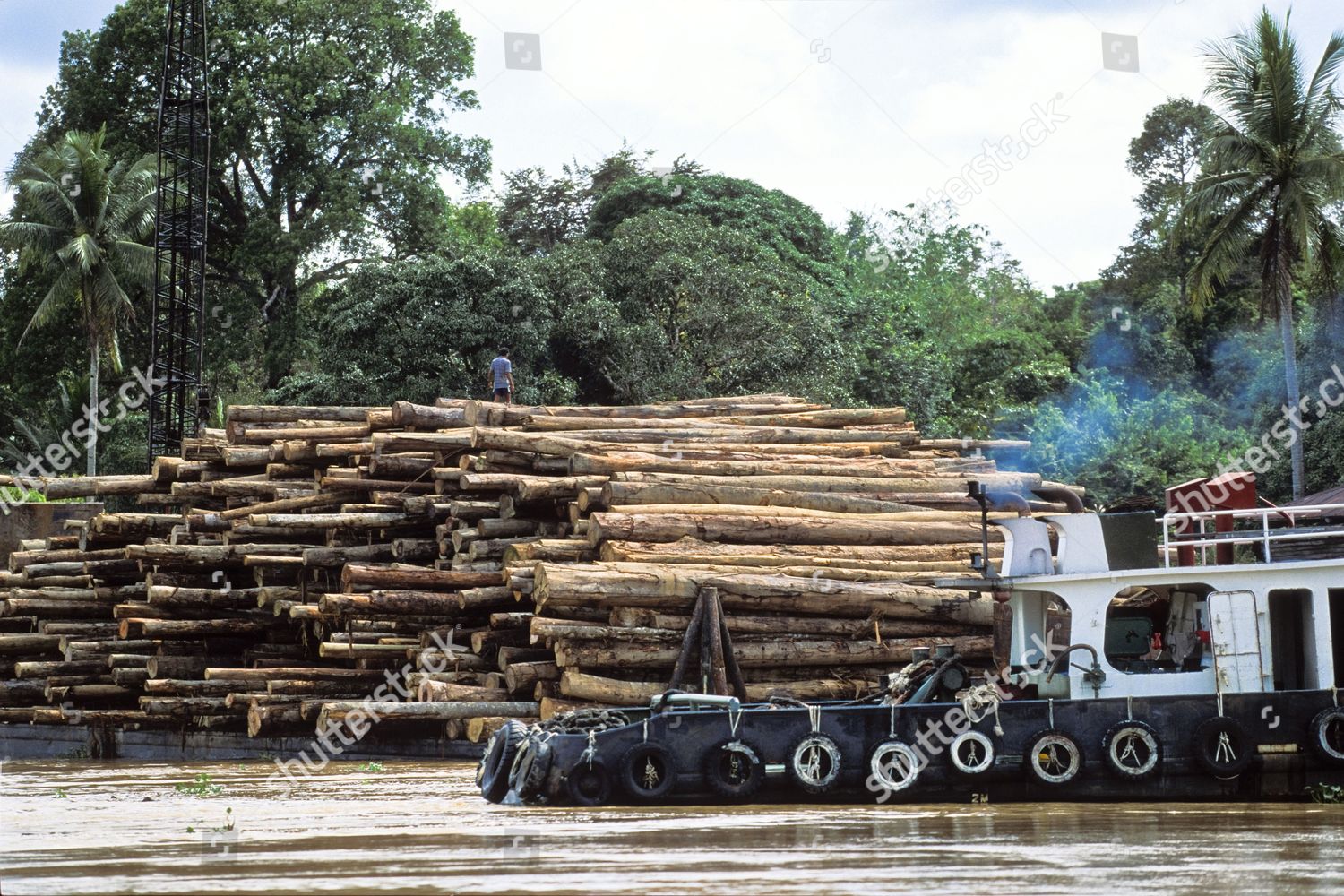 Barge Loaded Logs Shipping Destruction Rainforest Editorial Stock Photo ...