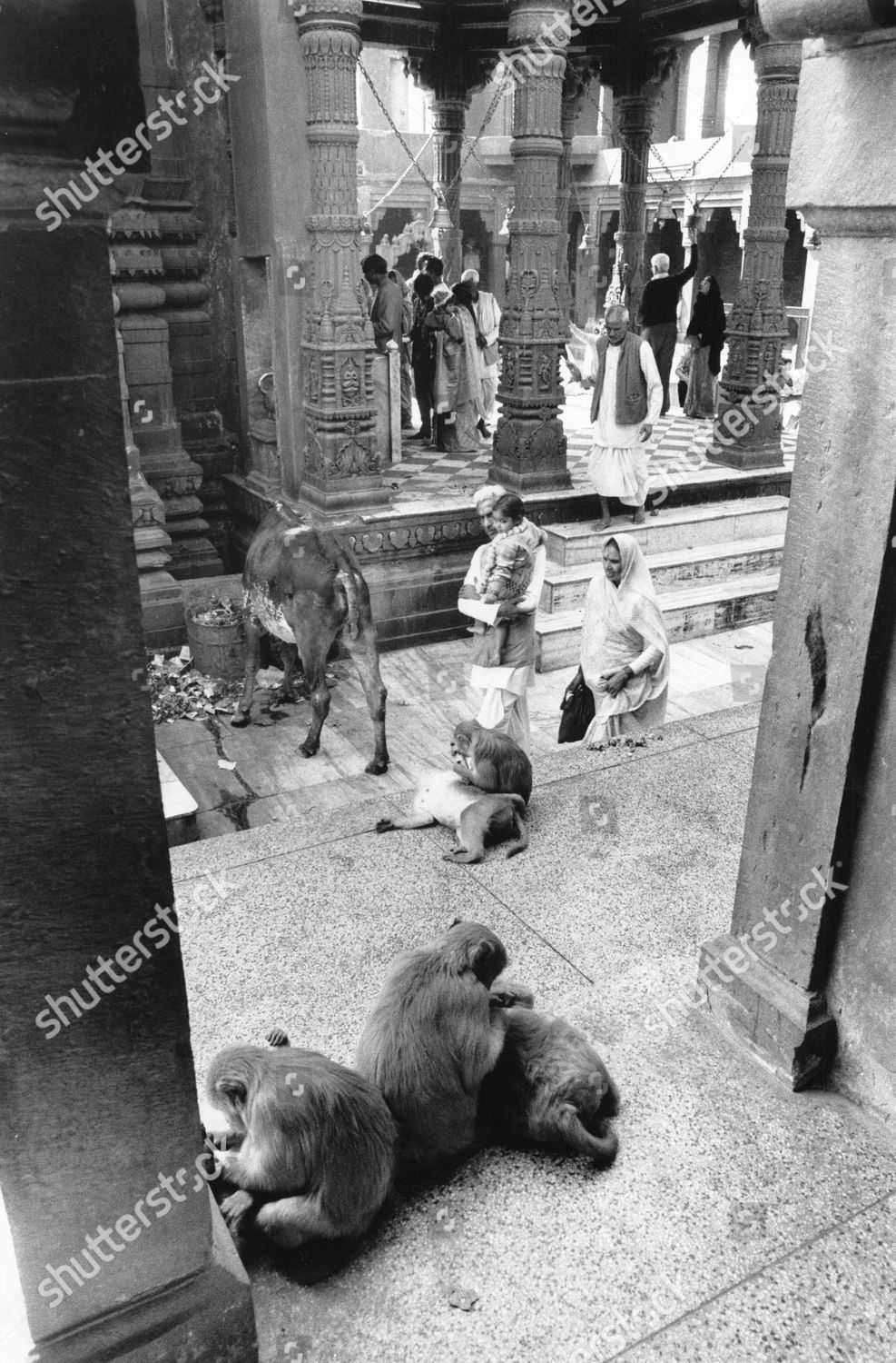 Monkey Temple Varanasi 1970 Editorial Stock Photo - Stock Image ...