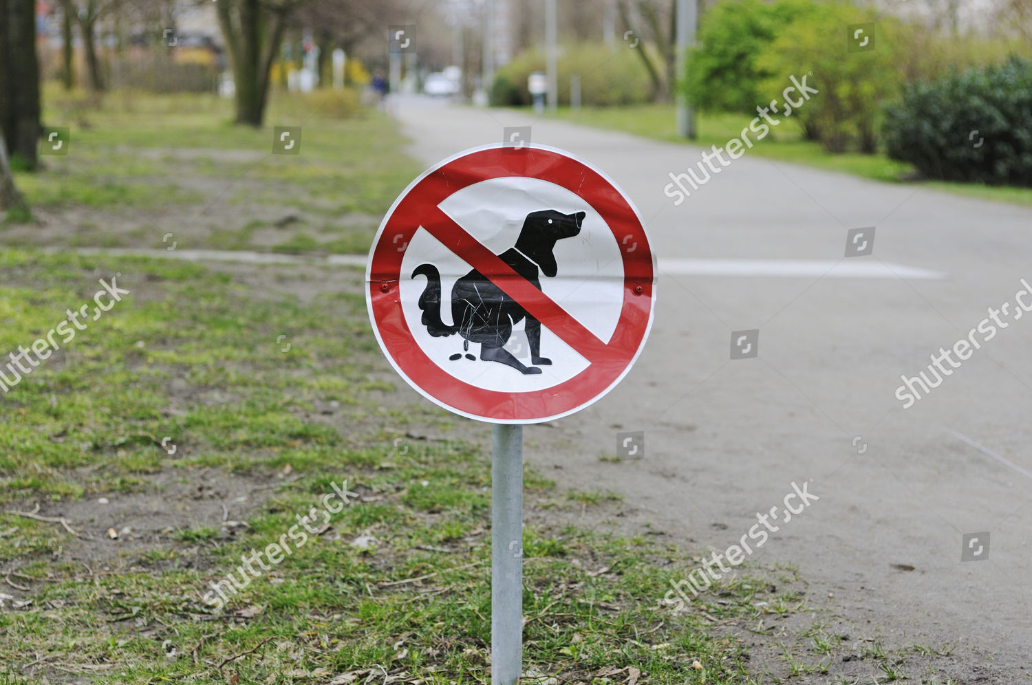 Dented Sign No Dogs Allowed On Editorial Stock Photo - Stock Image ...