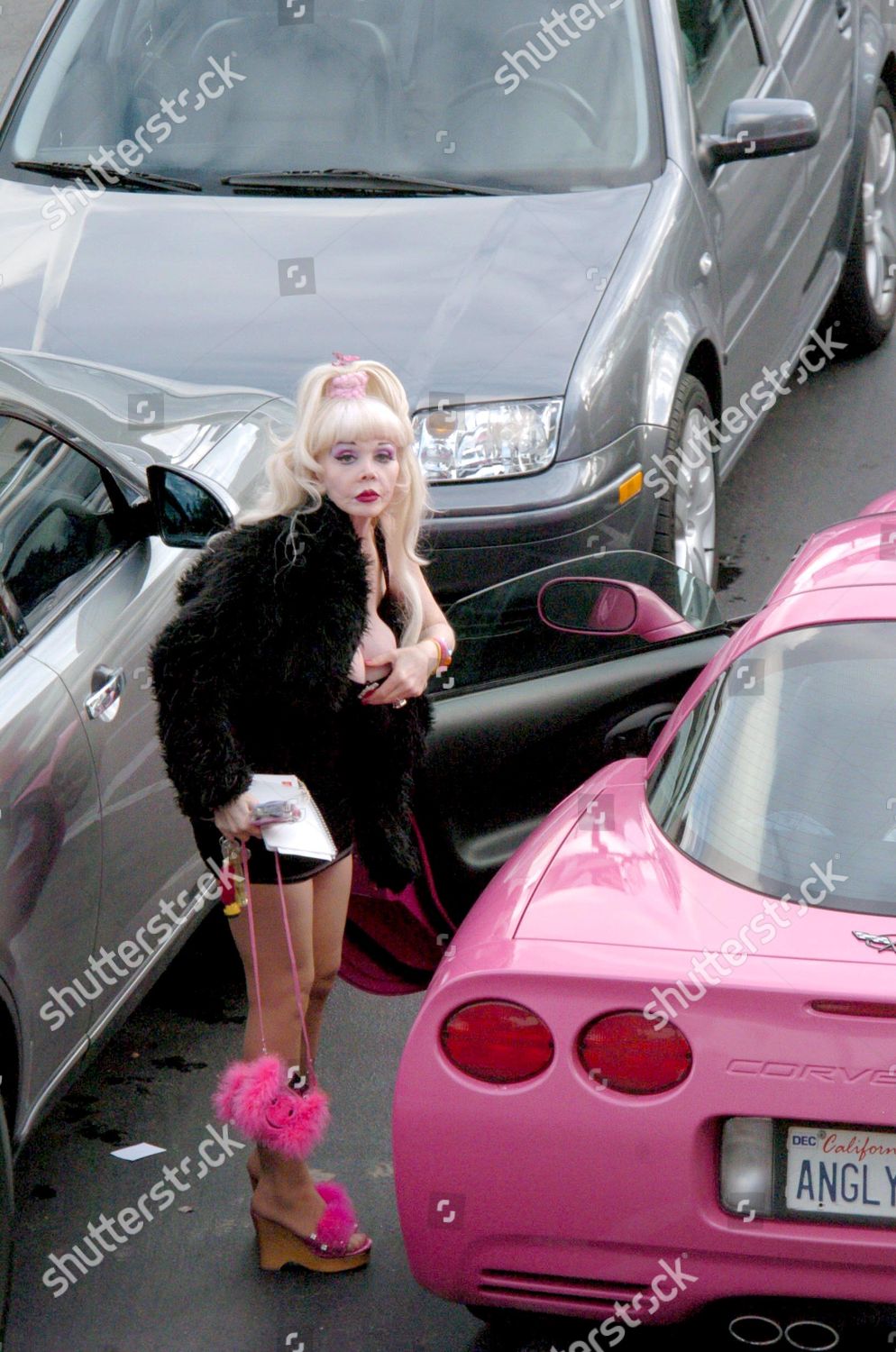 Angelyne Her Famous Pink Corvette Editorial Stock Photo - Stock Image ...