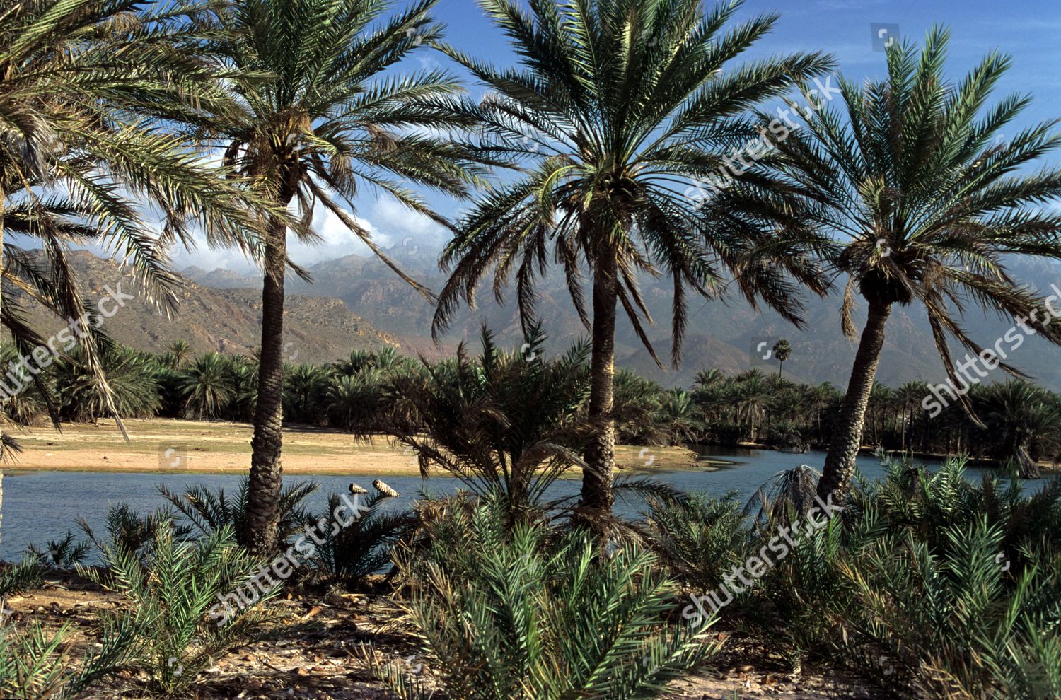 Suq Wadi Near Capital Hadibu Island Editorial Stock Photo - Stock Image ...