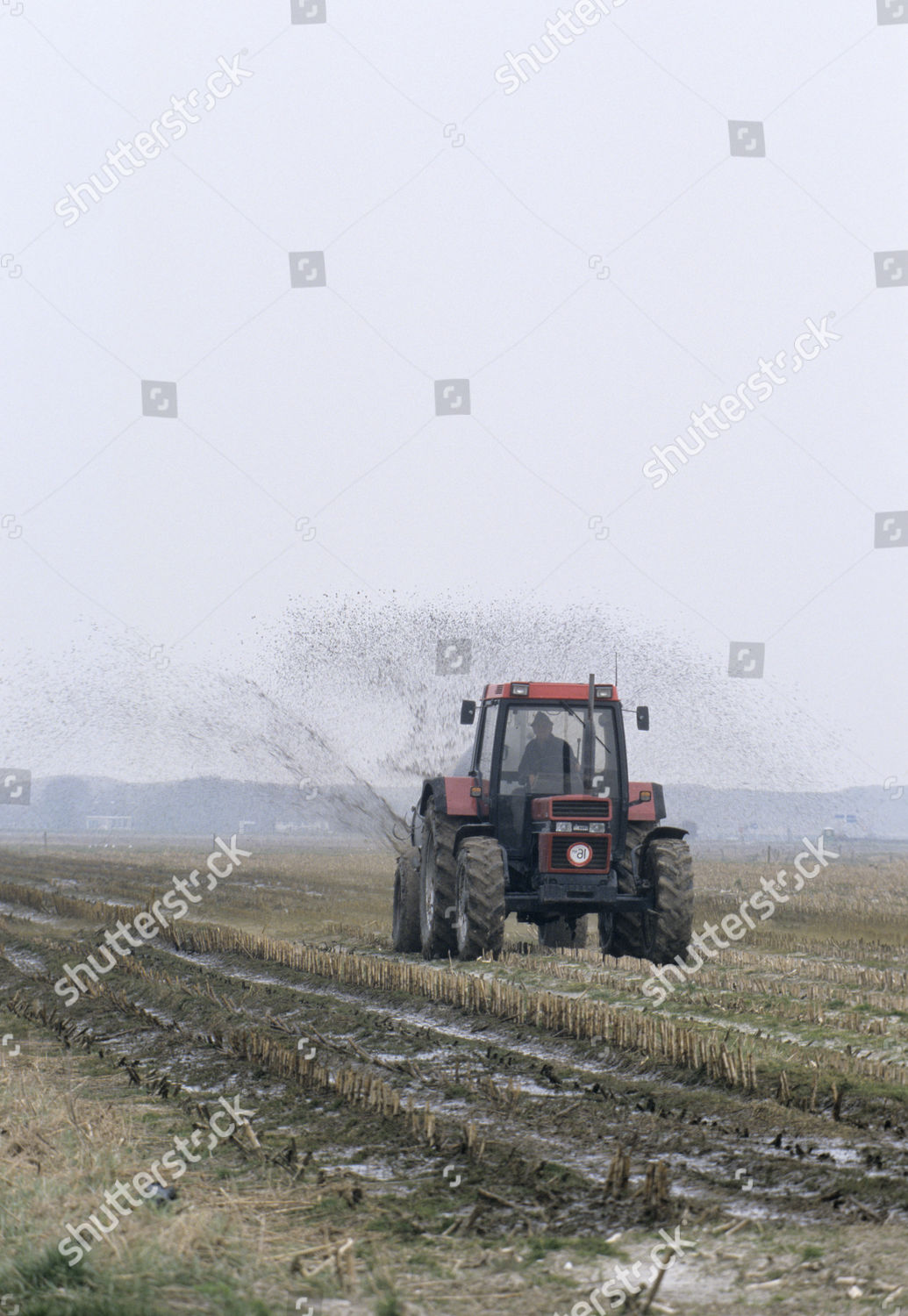 Farmer Spreading Manure On Field Netherlands Editorial Stock Photo ...