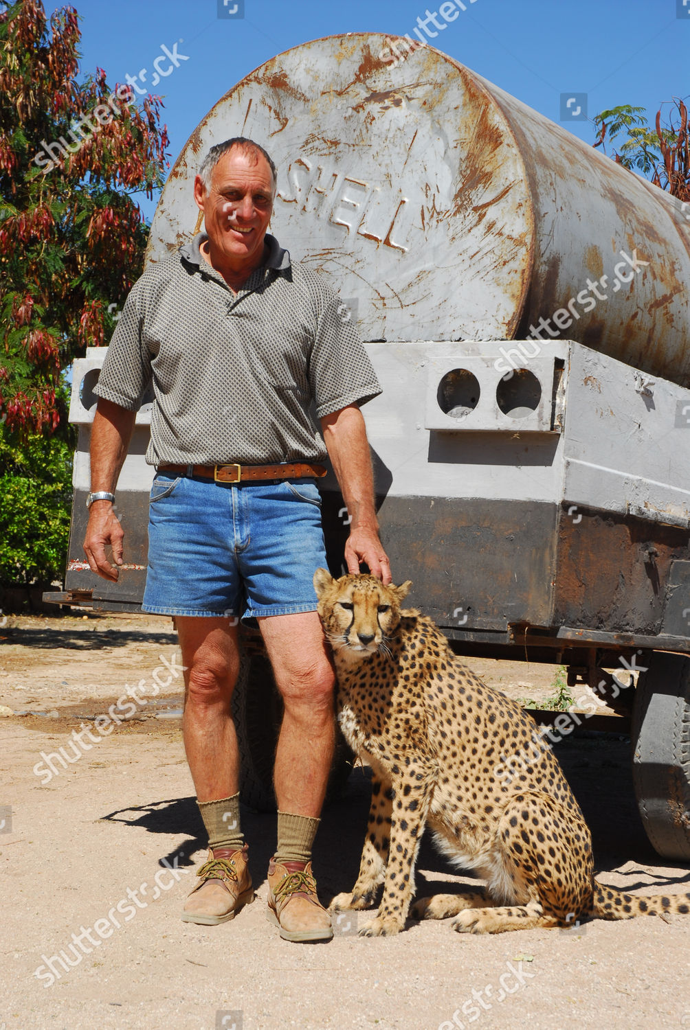 Local Man Tame Cheetah Otjitotongwe Cheetah Editorial Stock Photo ...