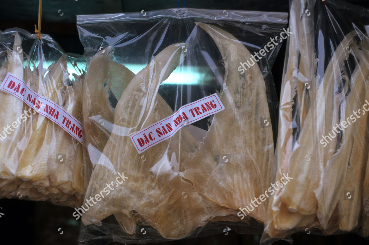Dried Shark Fins Sold Cho Dam Editorial Stock Photo - Stock Image ...