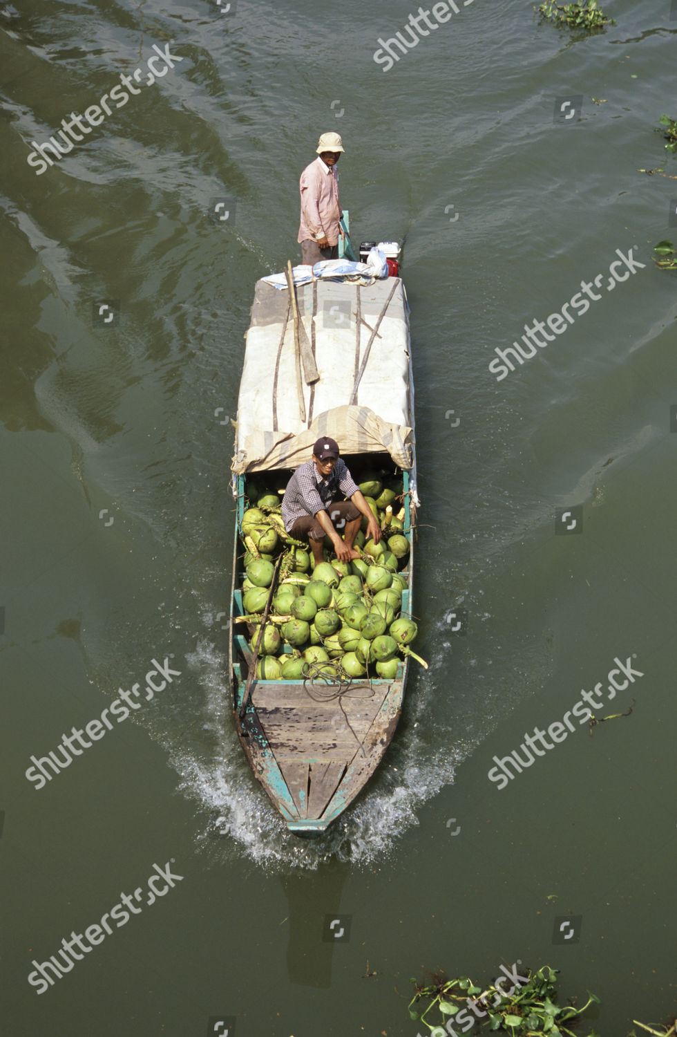 Transporting Coconuts By Boat Mekong Delta Editorial Stock Photo ...